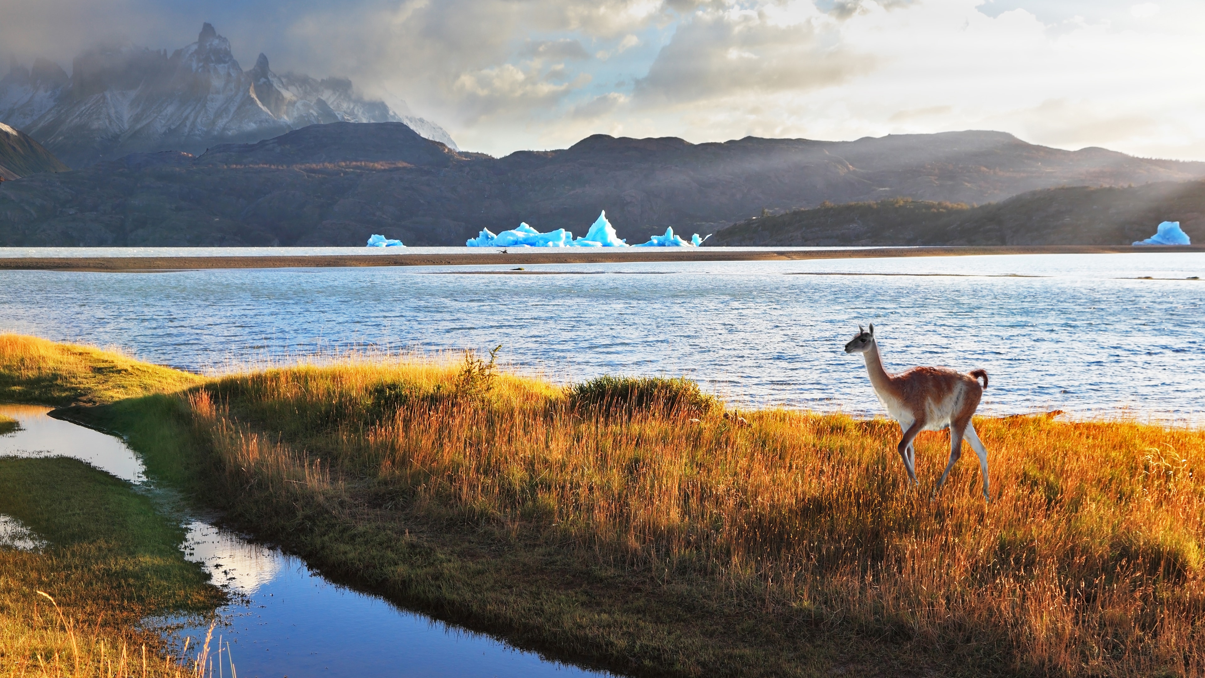 Day 53 - Halifax, Longitudinal World Cruise VI - 2027 Itinerary ...